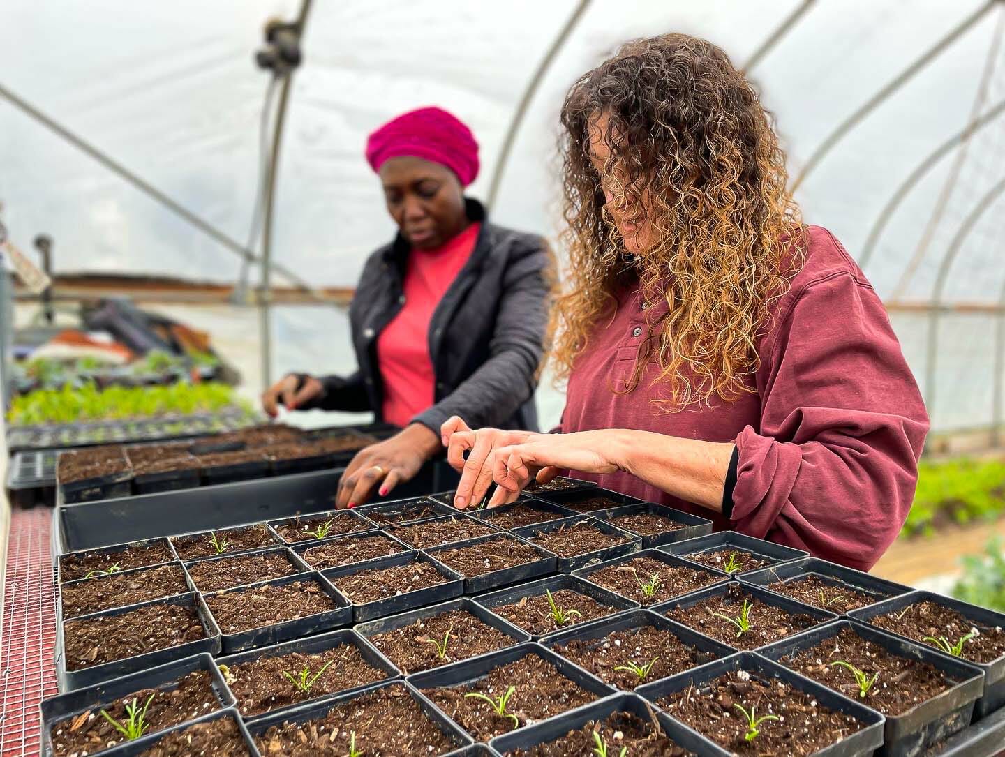 Shepherd University | Sustainable Agriculture | Volunteer Sign Up