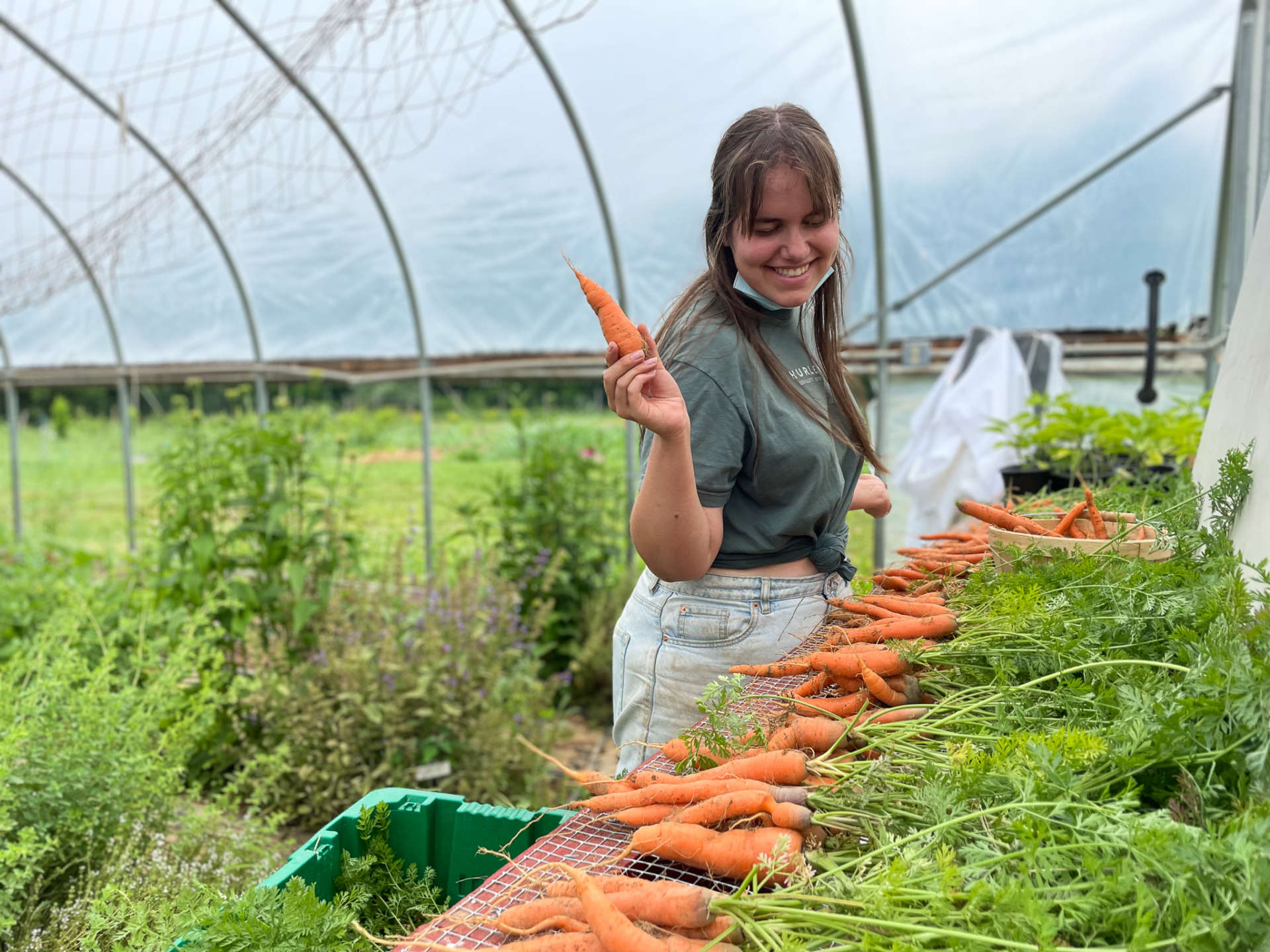 Shepherd University | Sustainable Agriculture | Volunteer Sign Up